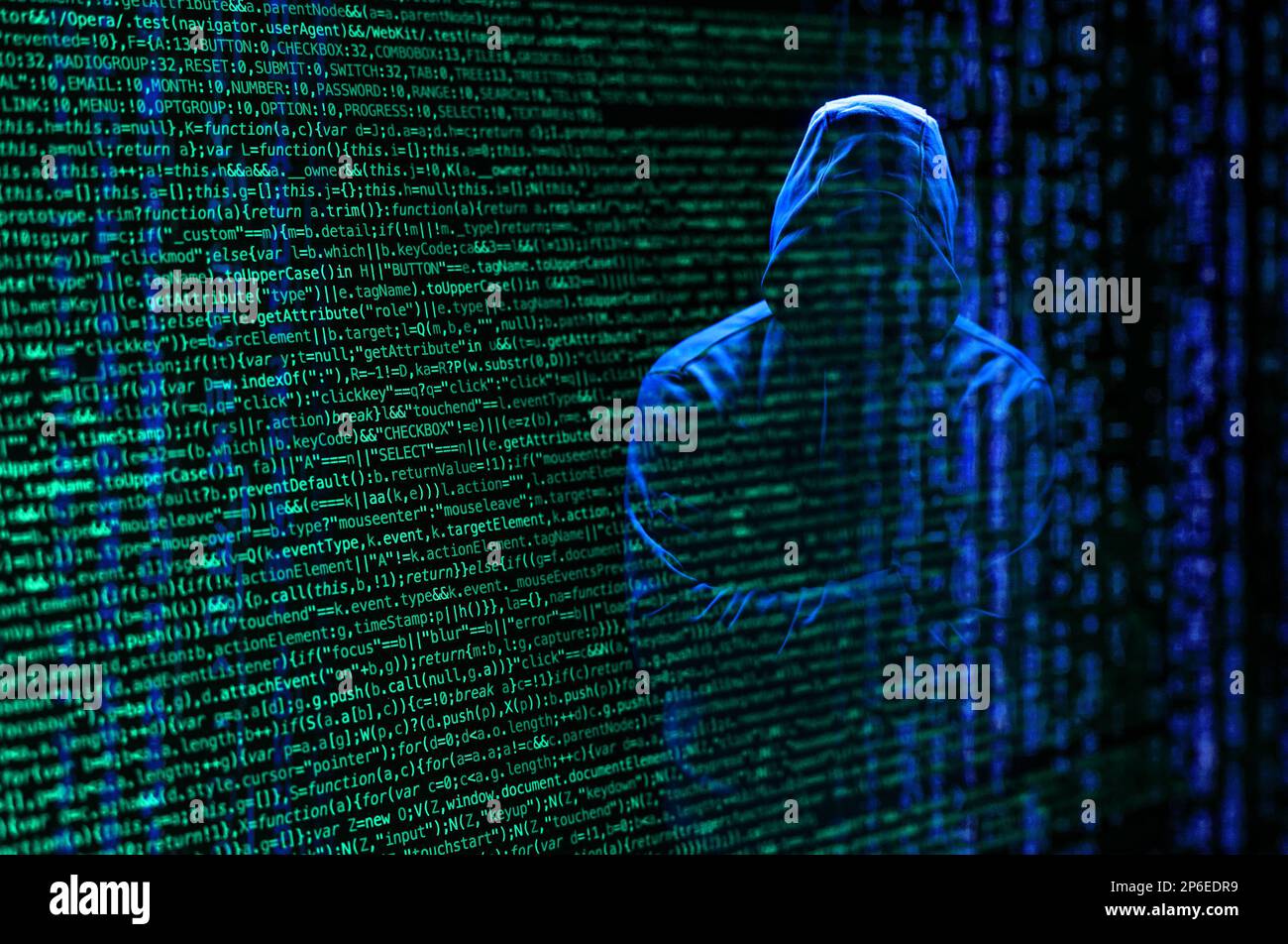 Software di hackeraggio hacker immagini e fotografie stock ad alta ...