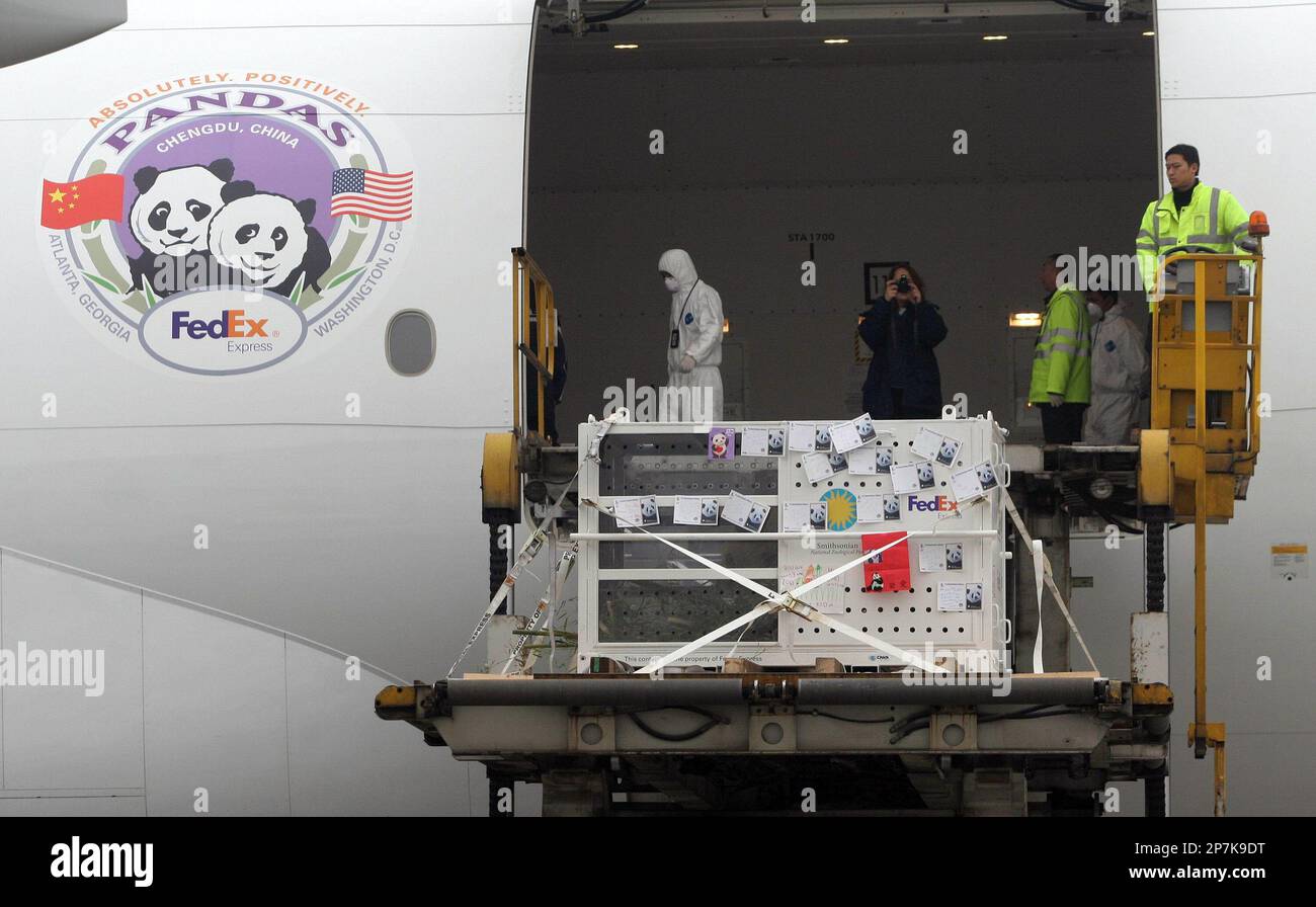 Worker unload a cage which carry panda Tai Shan in a FedEx plane, and ...