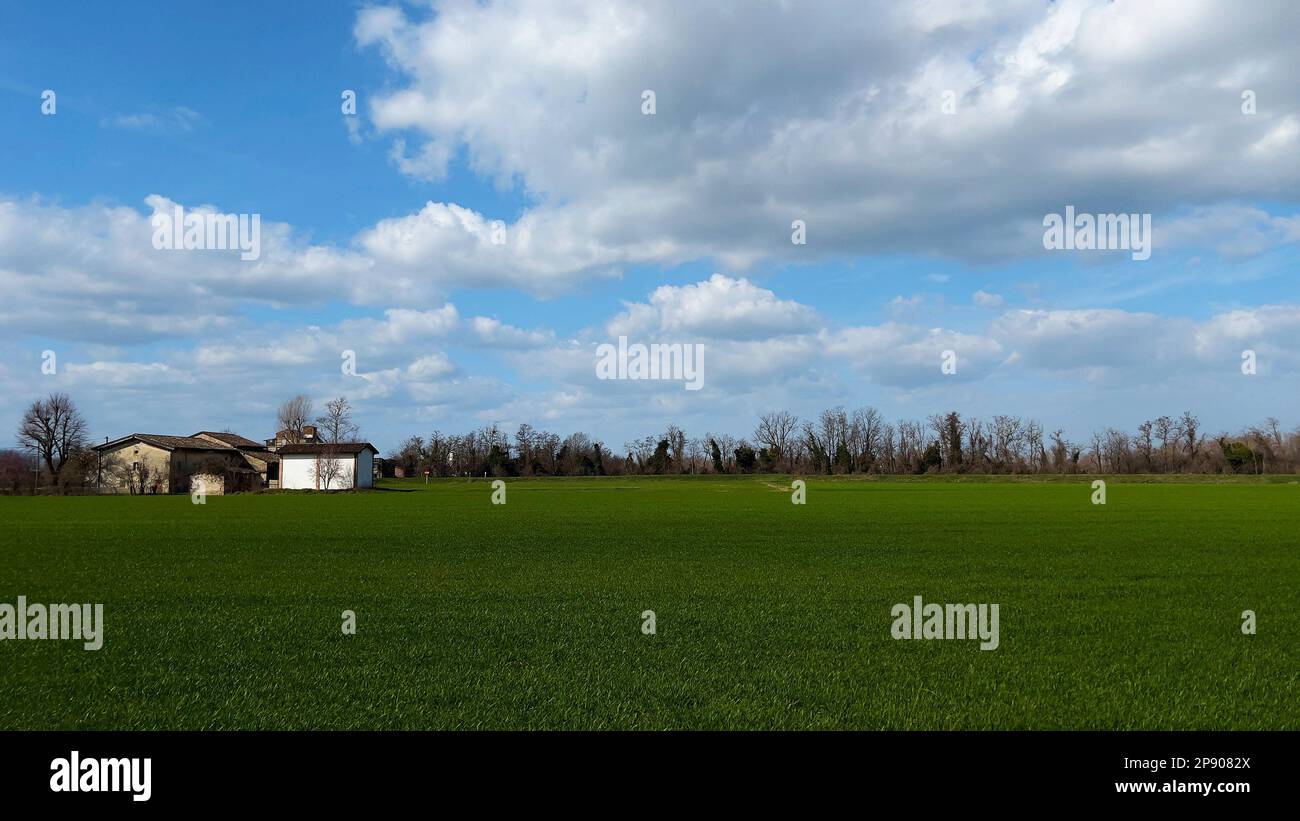 Fattoria italia immagini e fotografie stock ad alta risoluzione - Alamy