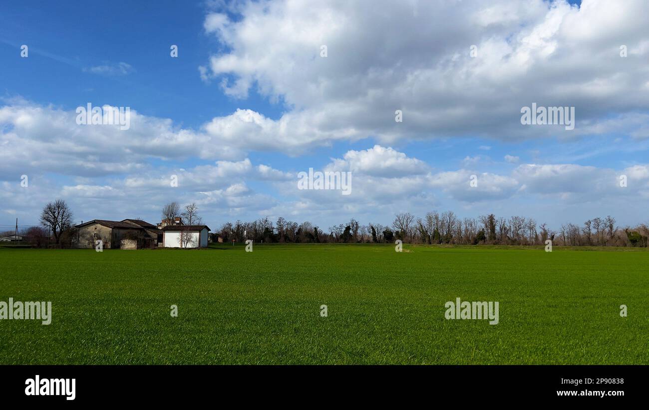 Fattoria italia immagini e fotografie stock ad alta risoluzione - Alamy