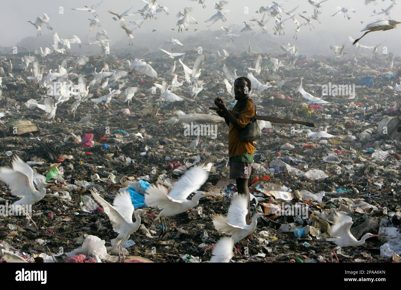 ** TO GO WITH GABON BONGO ** A man searches through trash for food and ...