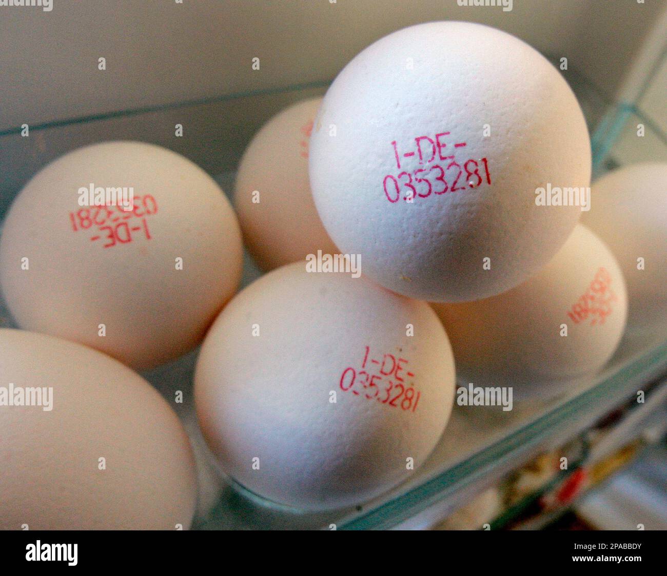 Eier mit Kennzeichnung liegen am Dienstag, 18. Maerz 2008, in einem ...