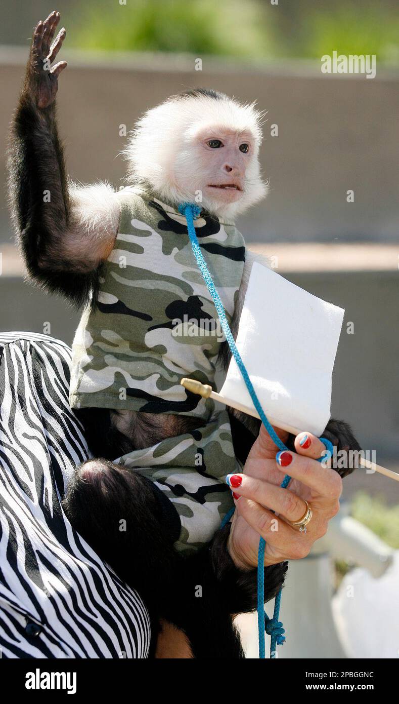 A protester taking part in a demonstration organized by Move America ...