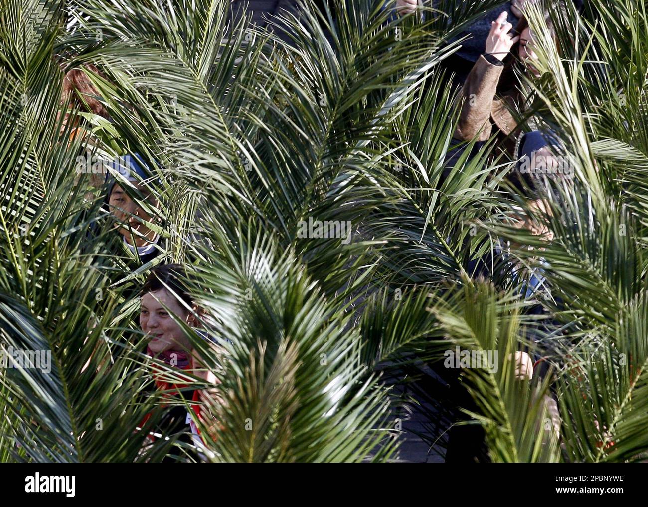 Faithful and nuns peek through branches of olive tree as they follow an ...