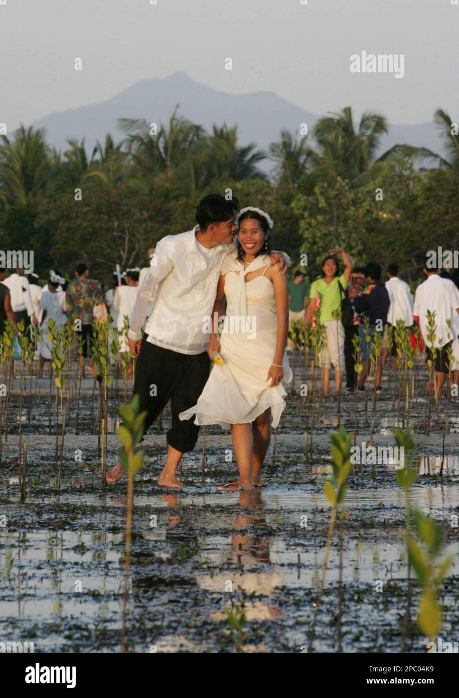 A groom kisses his bride after participating in a mangrove-planting and ...