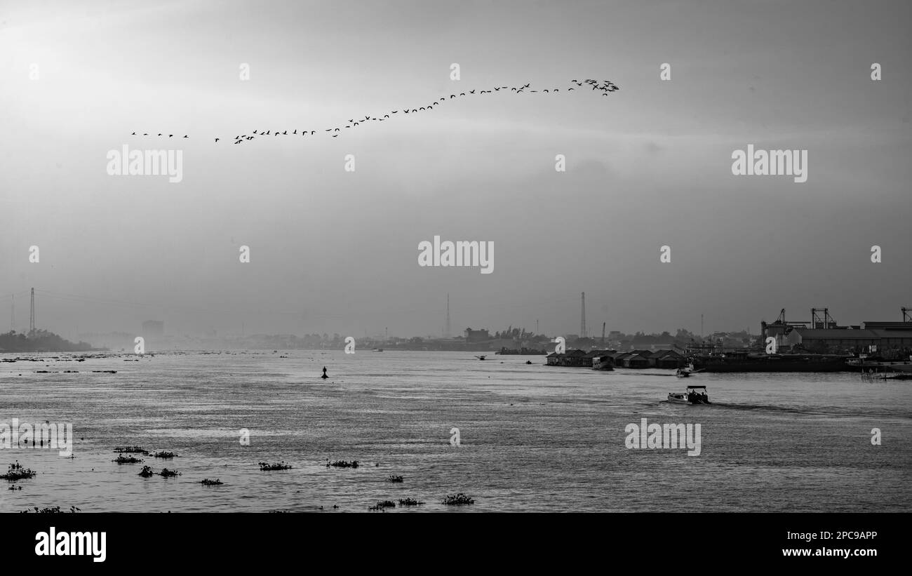 Uccelli del vietnam Foto e Immagini Stock in Bianco e Nero - Alamy