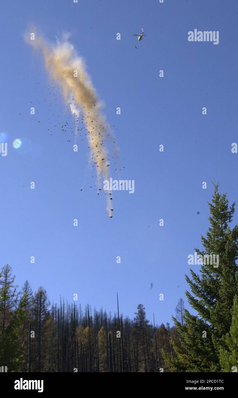 A U.S. Forest Service-contracted helicopter drops straw, Oct. 12, 2006 ...