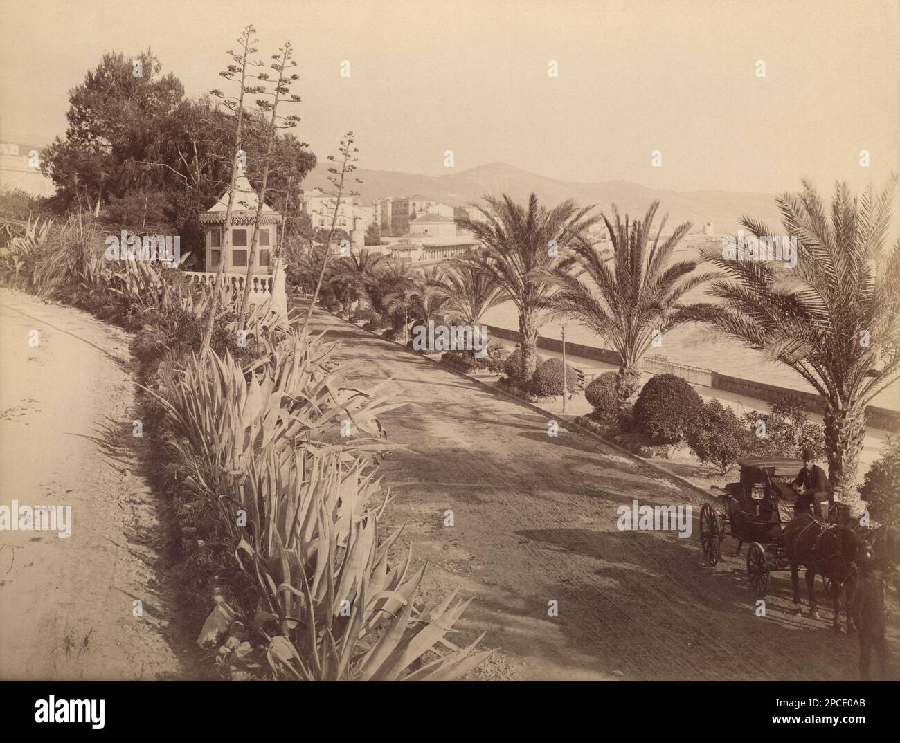 1888 ca , SANREMO , IMPERIA, ITALIA : la passeggiata , SAN REMO ...