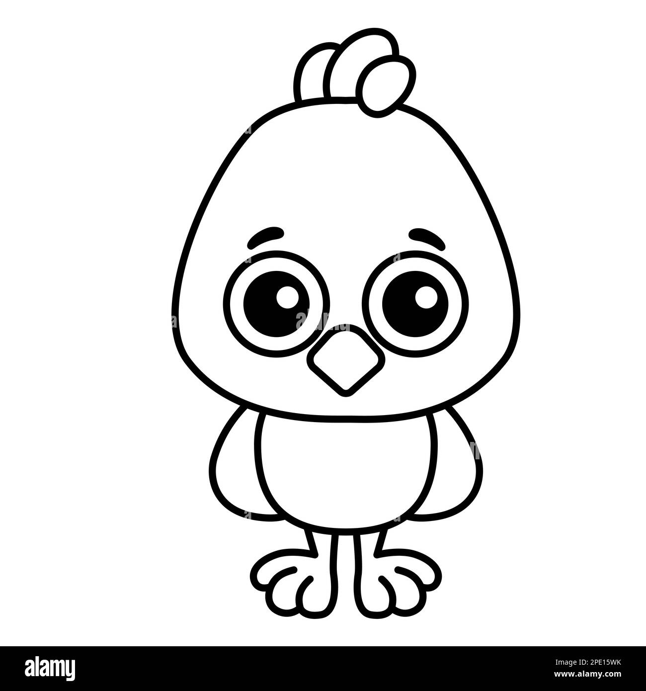 Disegni Da Colorare Di Pollo Libro Da Colorare, Pollo Illustrazione
