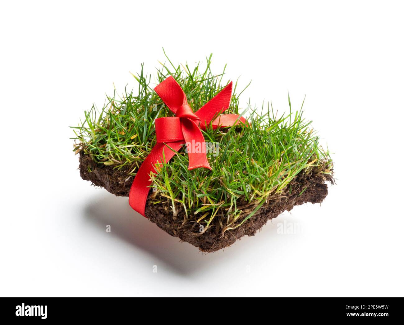 Zolla d'erba immagini e fotografie stock ad alta risoluzione - Alamy