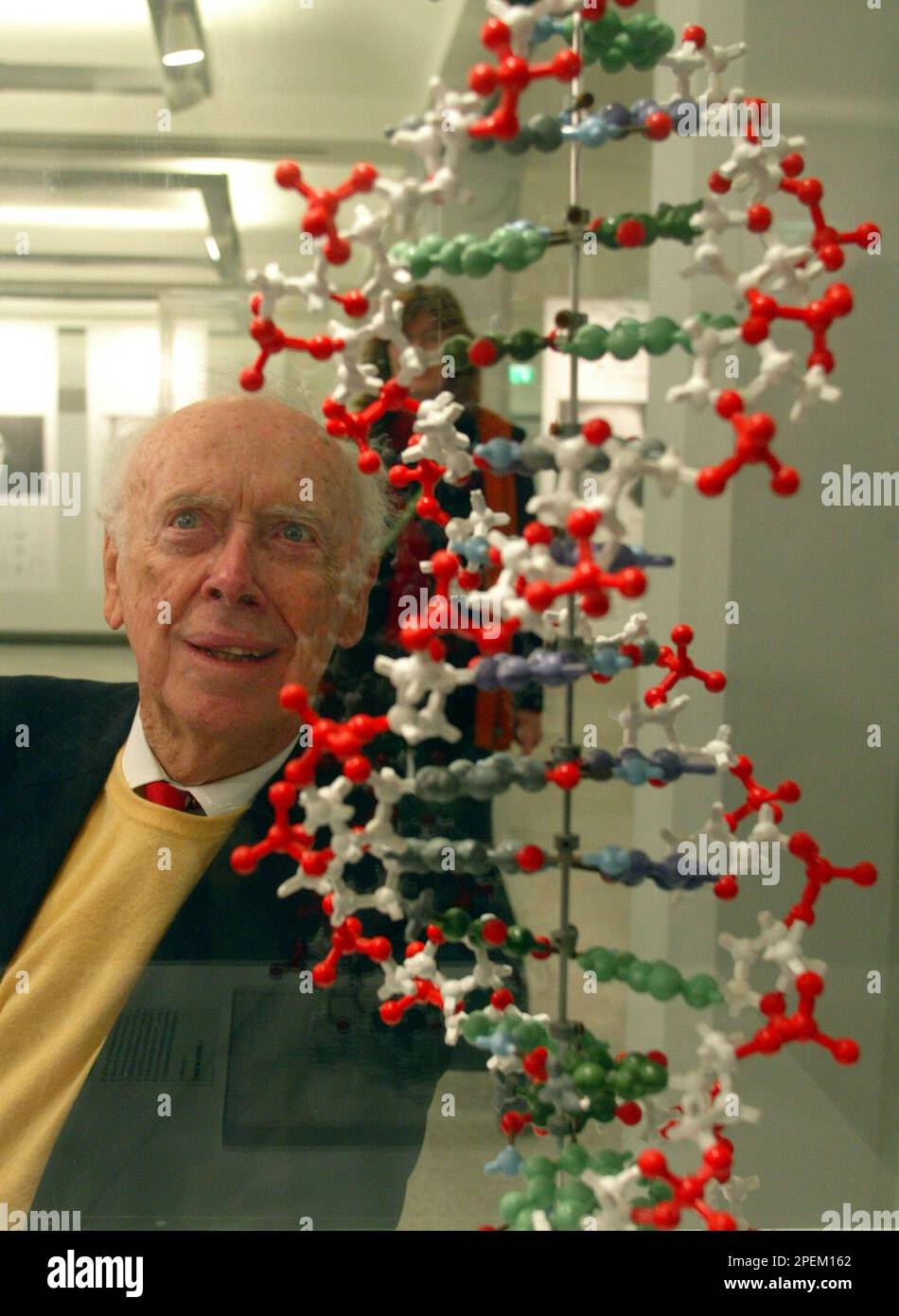 US scientist and DNA discoverer James Watson poses for photographers behind a model of the 'DNA ...