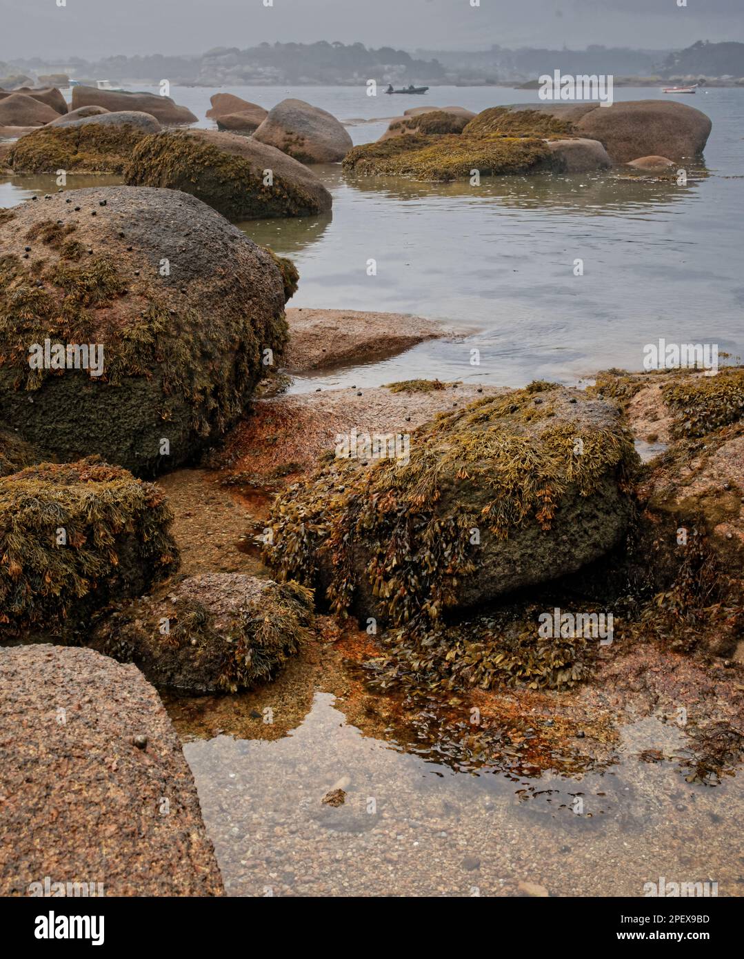 Costa rocciosa di granito rosa immagini e fotografie stock ad alta ...