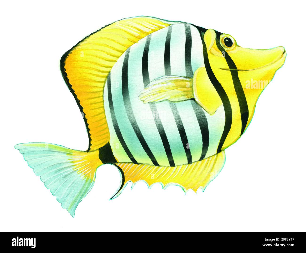 Pesce a strisce esotiche immagini e fotografie stock ad alta ...