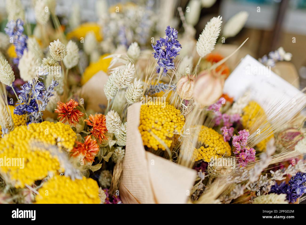 Mazzi di fiori secchi colorati immagini e fotografie stock ad alta ...