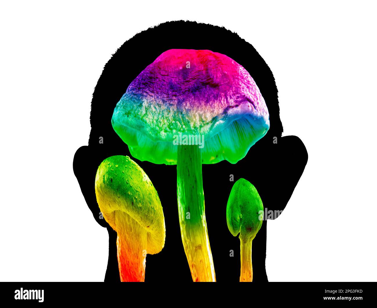 Sagoma di funghi immagini e fotografie stock ad alta risoluzione - Alamy
