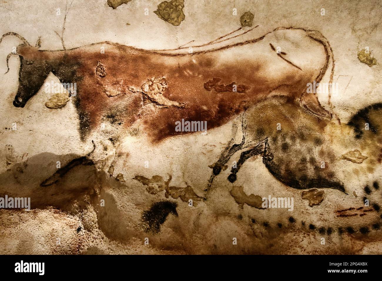 Le grotte di Lascaux sono grotte decorate con dipinti paleolitici ...