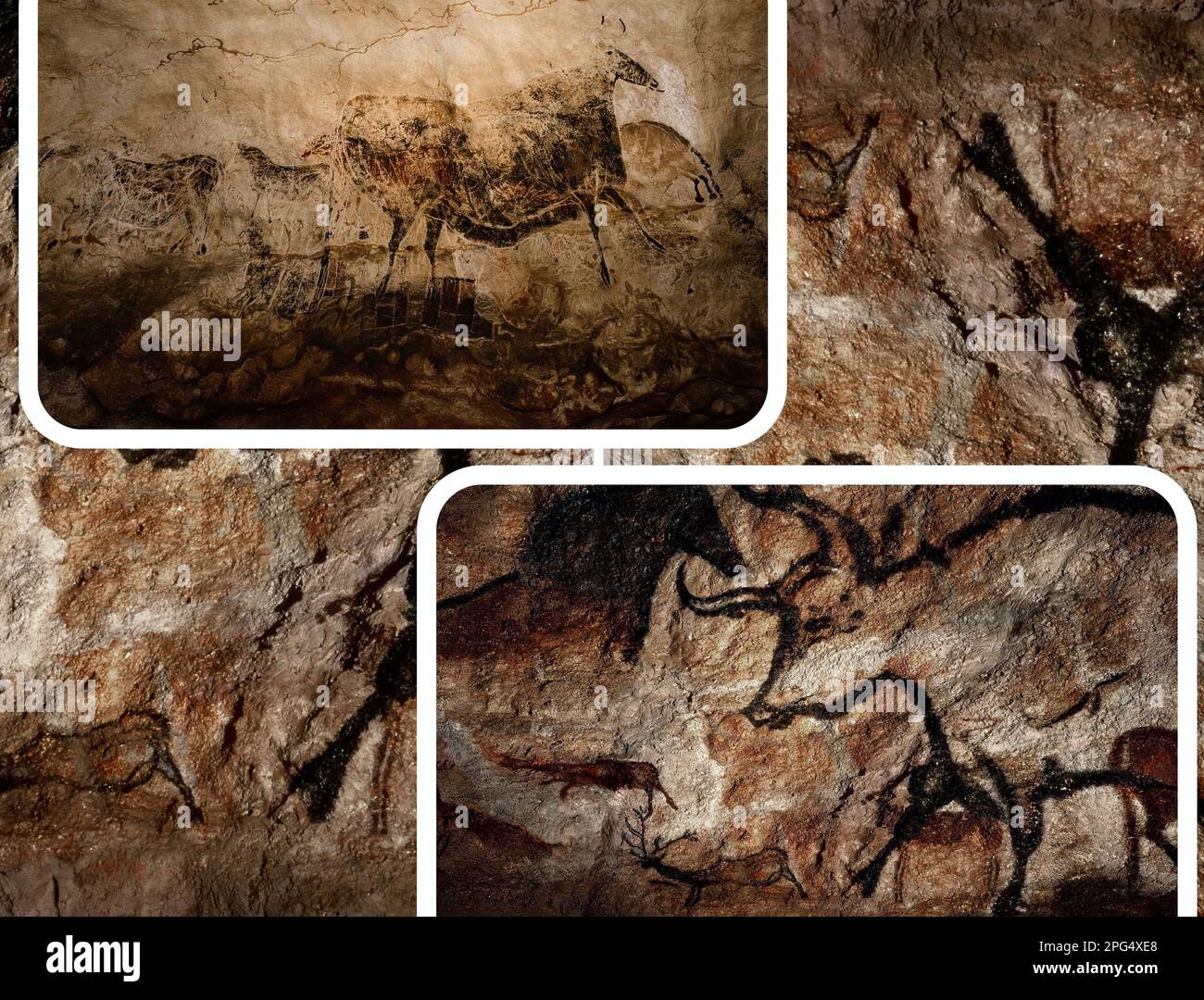 Le grotte di Lascaux sono grotte decorate con dipinti paleolitici ...
