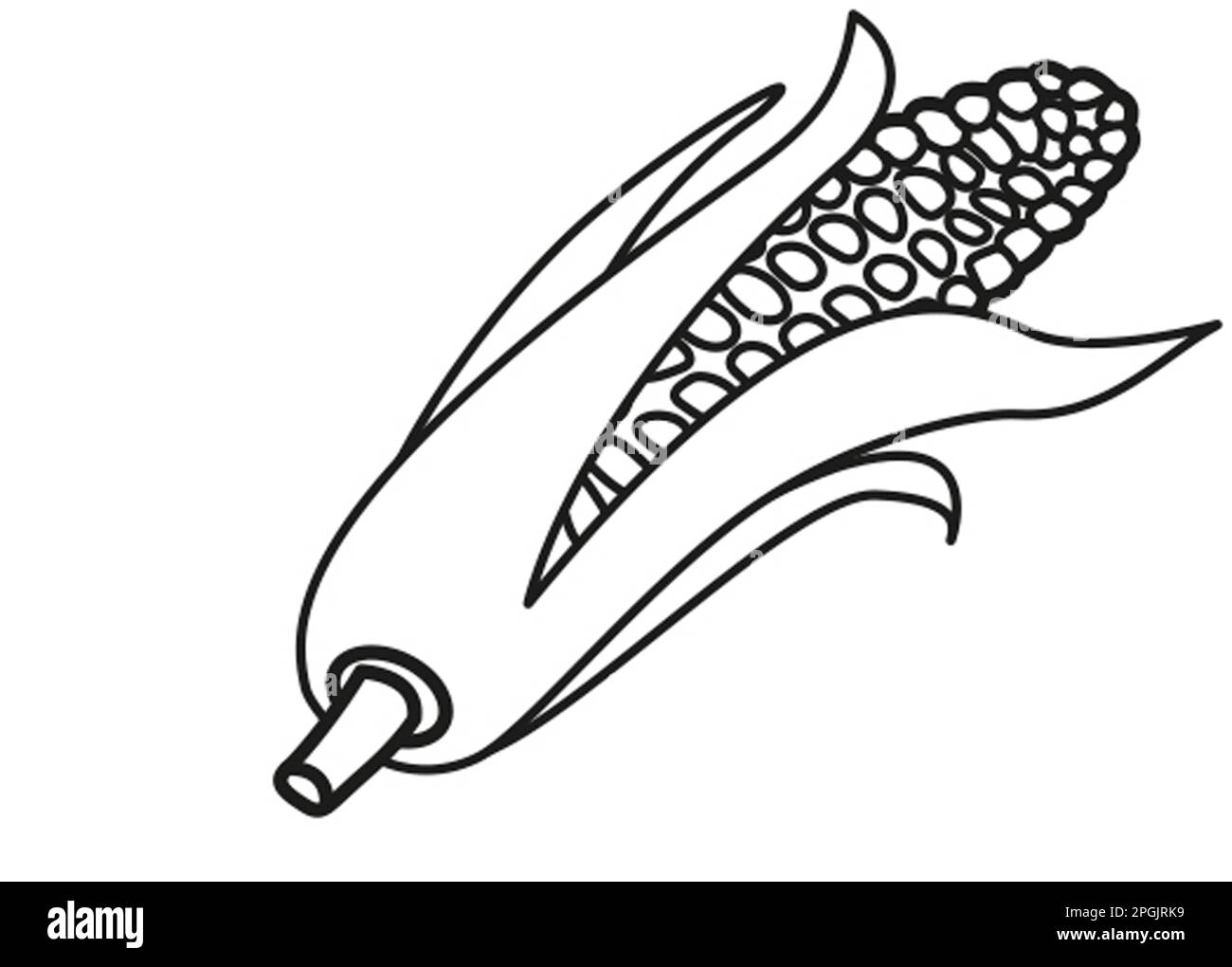 Disegno di mais immagini e fotografie stock ad alta risoluzione - Alamy