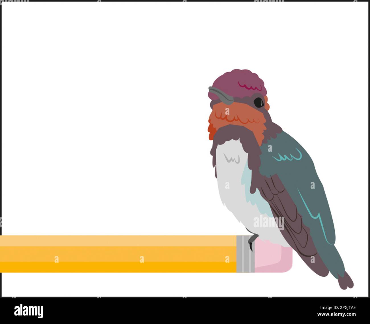 Specie di uccelli cubani immagini e fotografie stock ad alta ...