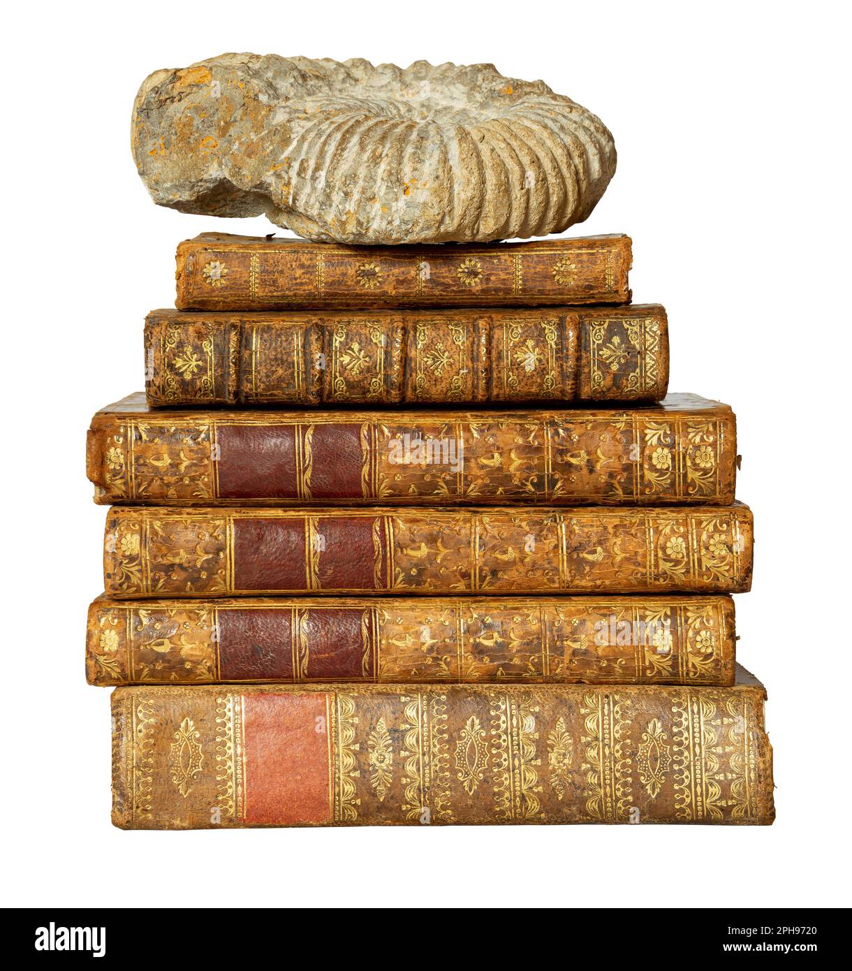 Pila di libri antichi con copertina in pelle e ornamenti dorati, con un ...