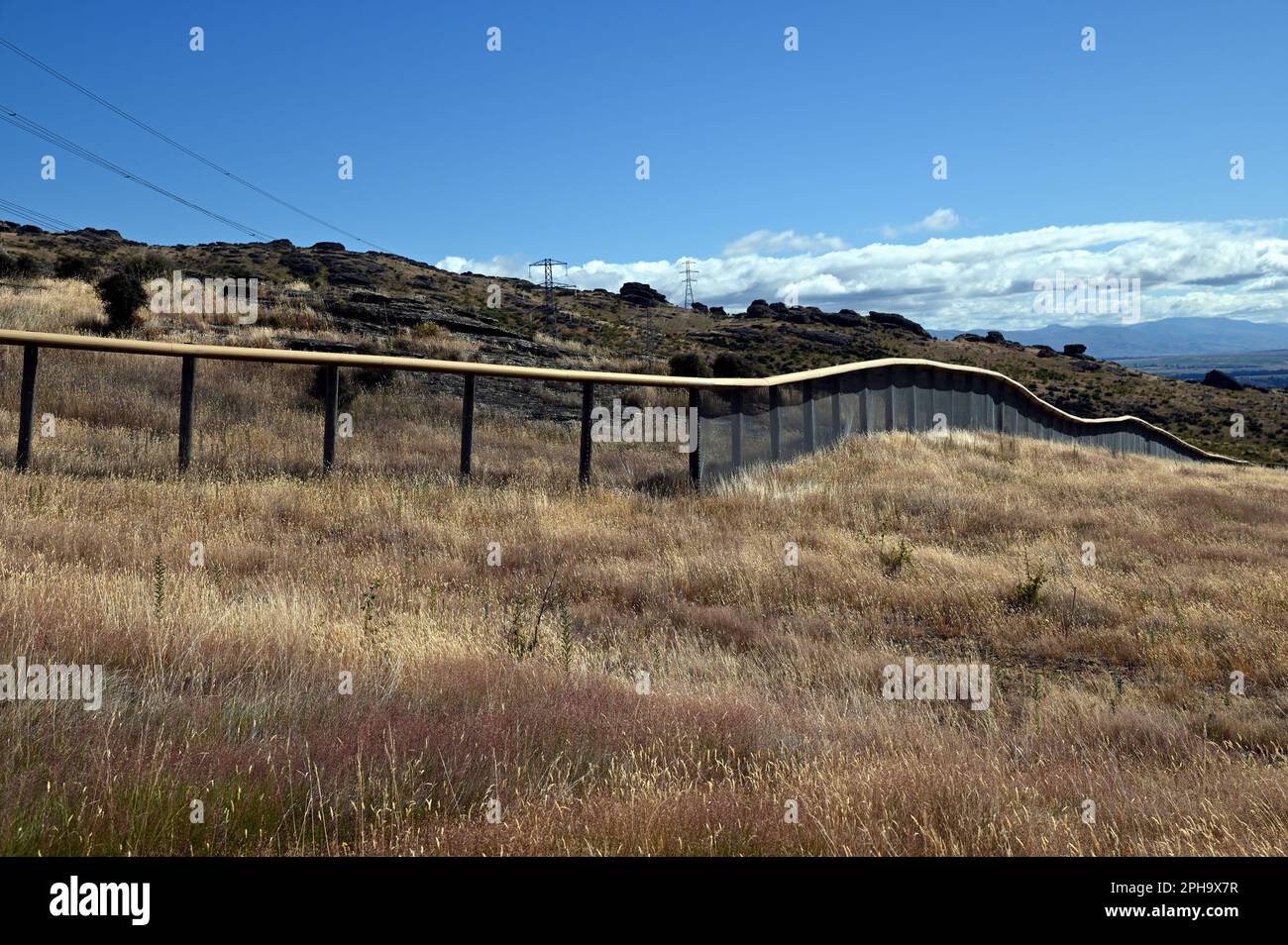 Praterie moko moko immagini e fotografie stock ad alta risoluzione - Alamy