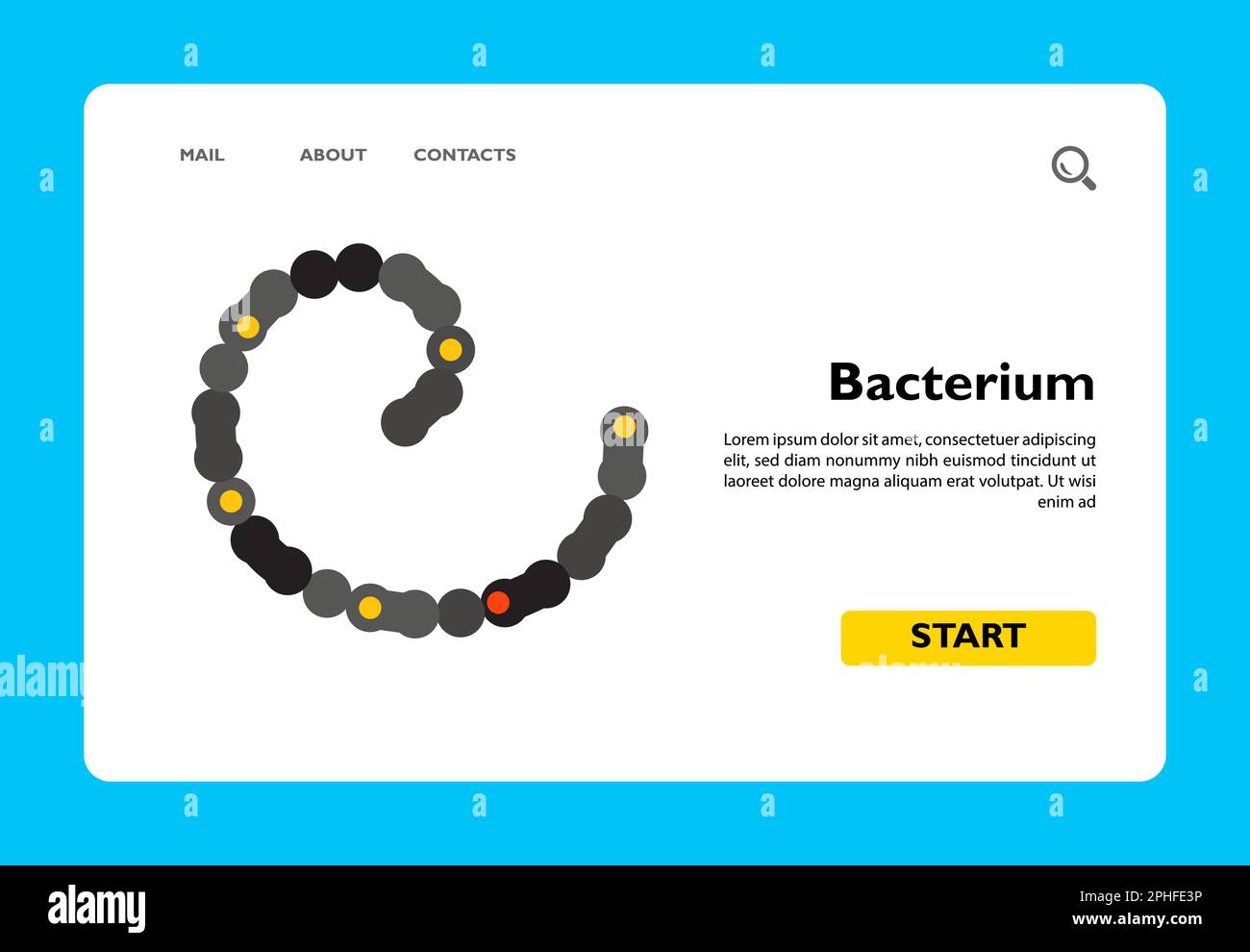 Estructura de la célula bacteriana Immagini Vettoriali Stock - Alamy