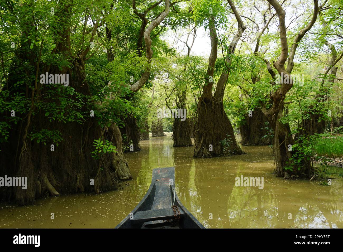 Turismo in bangladesh immagini e fotografie stock ad alta risoluzione ...