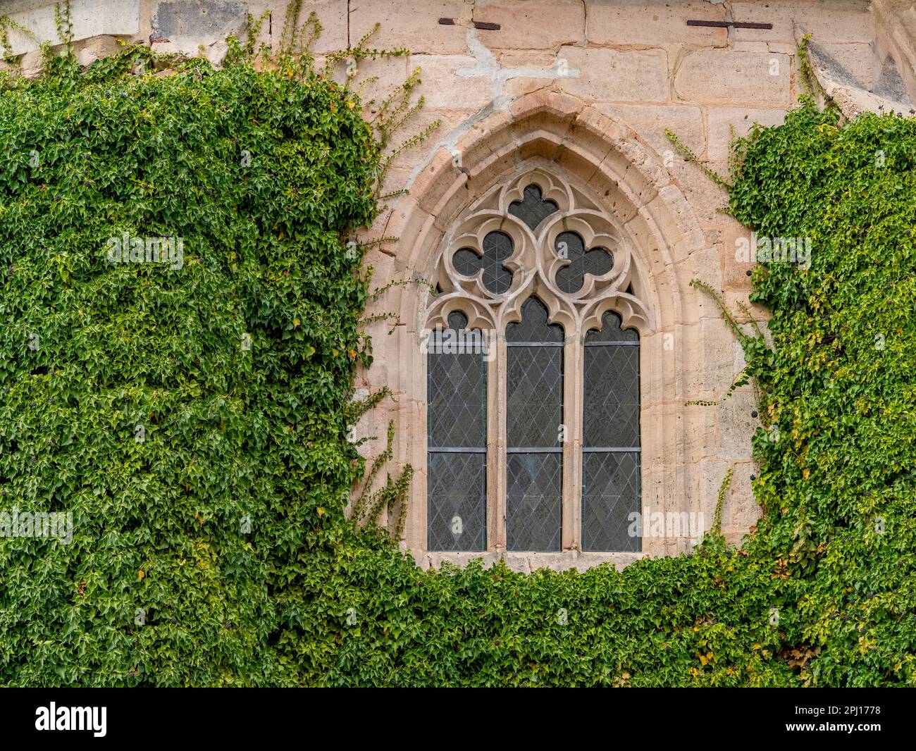 Finestra di vetro al piombo immagini e fotografie stock ad alta ...