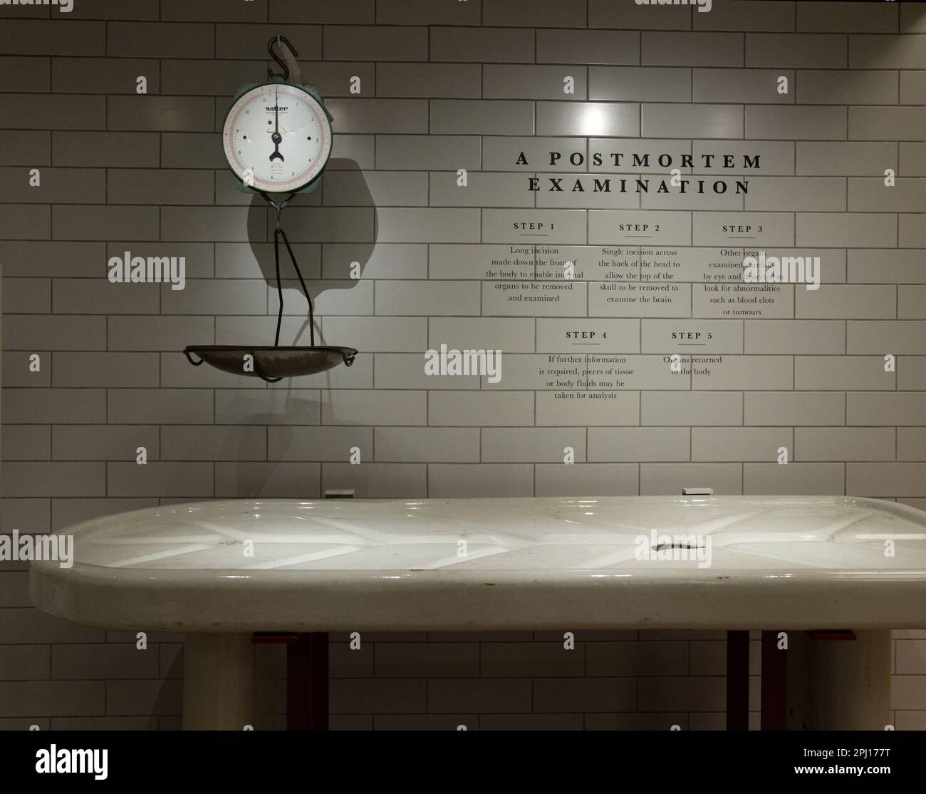 Autopsy table immagini e fotografie stock ad alta risoluzione - Alamy