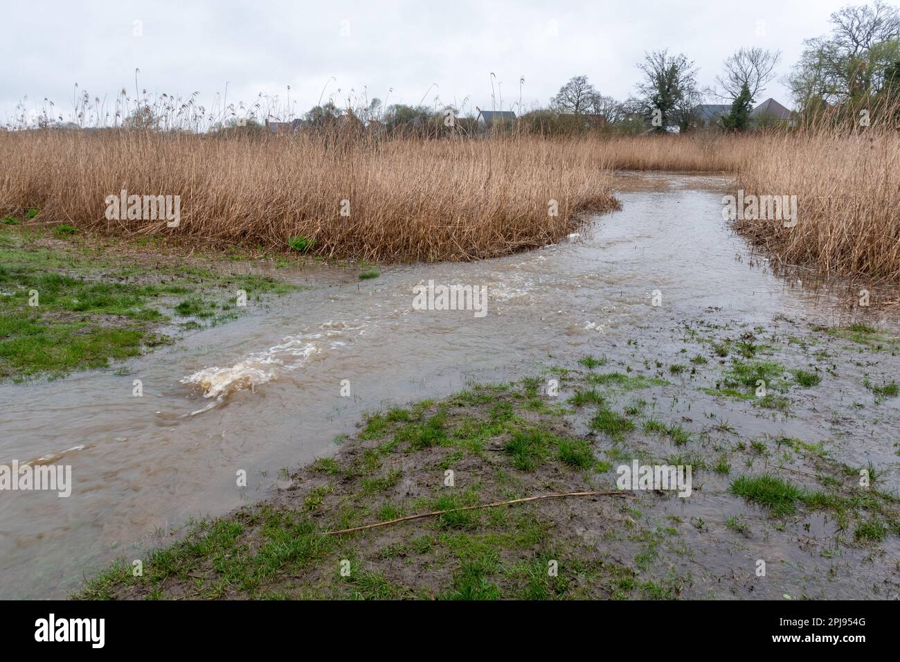 Inondazioni nel regno unito nel 2023 immagini e fotografie stock ad alta risoluzione - Alamy