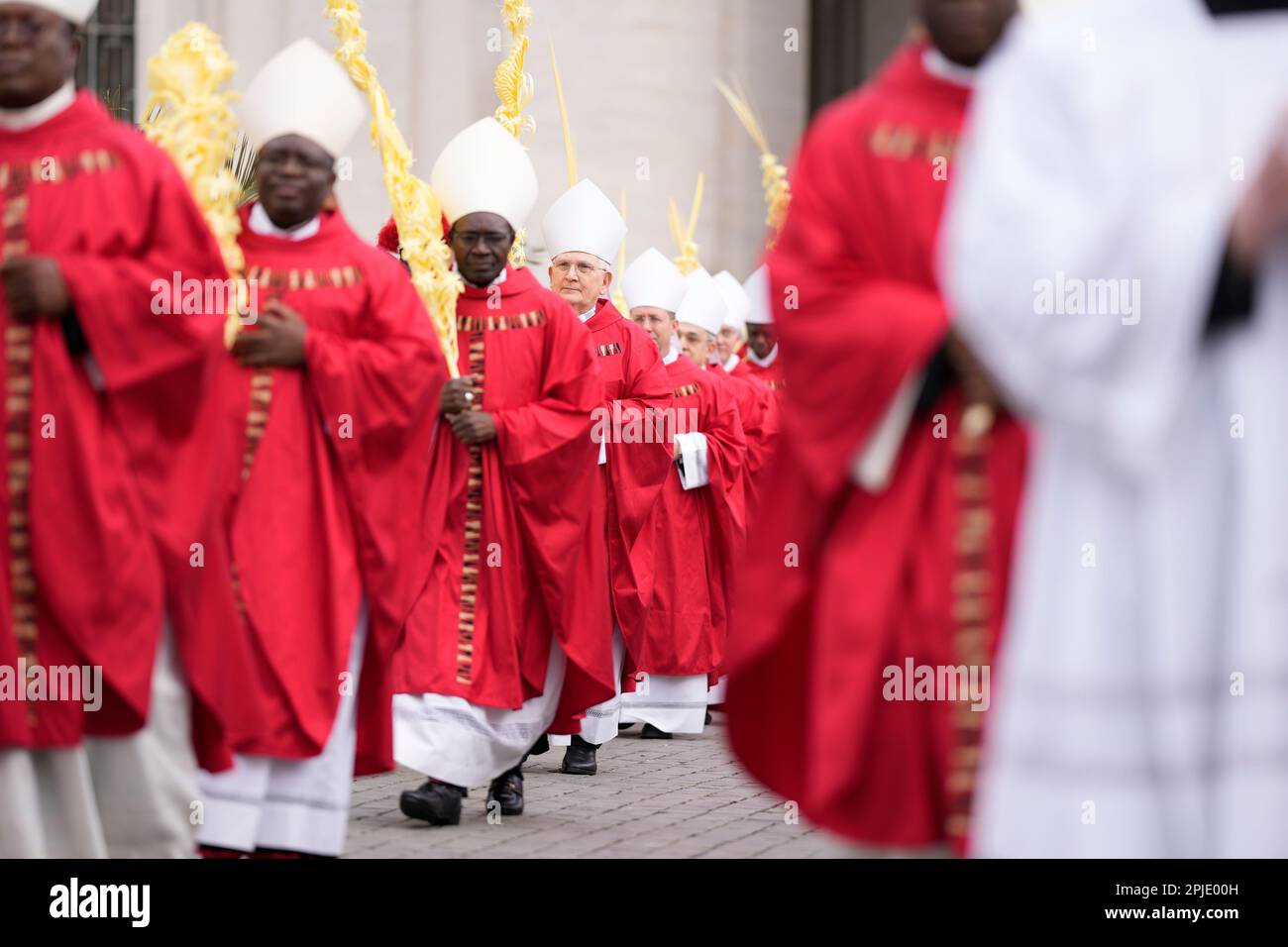 Cardinals arrive in a procession at the start of the Palm Sunday's mass ...