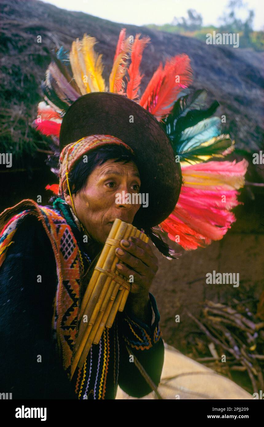 Indiano boliviano del gruppo etnico quechua che suona il flauto siku ...