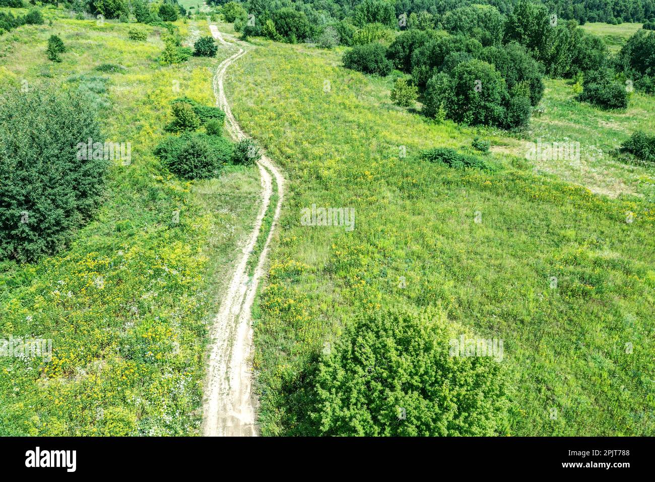 Strada sterrata tortuosa tra prato in primavera immagini e fotografie ...