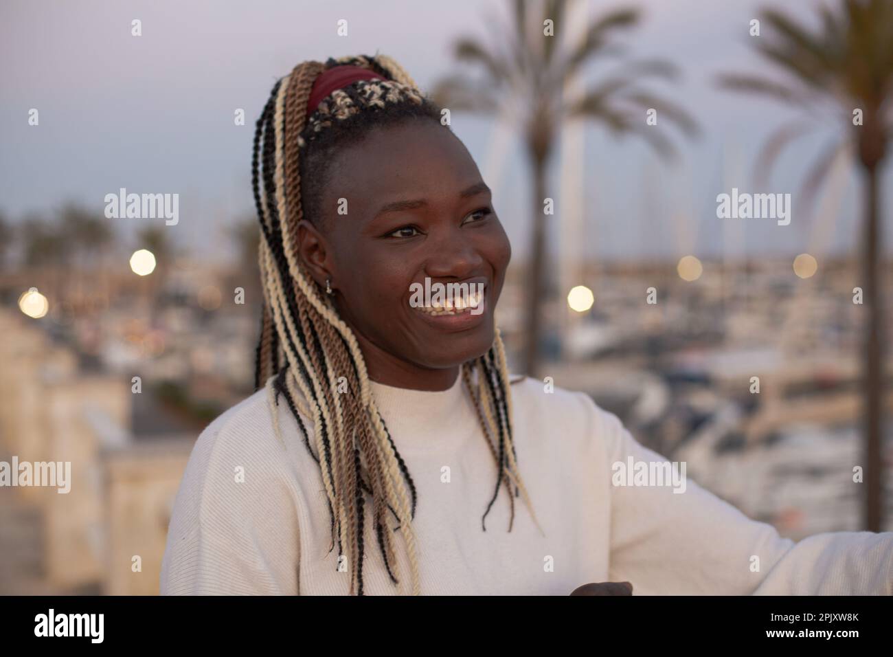 Treccie afroamericane immagini e fotografie stock ad alta risoluzione ...