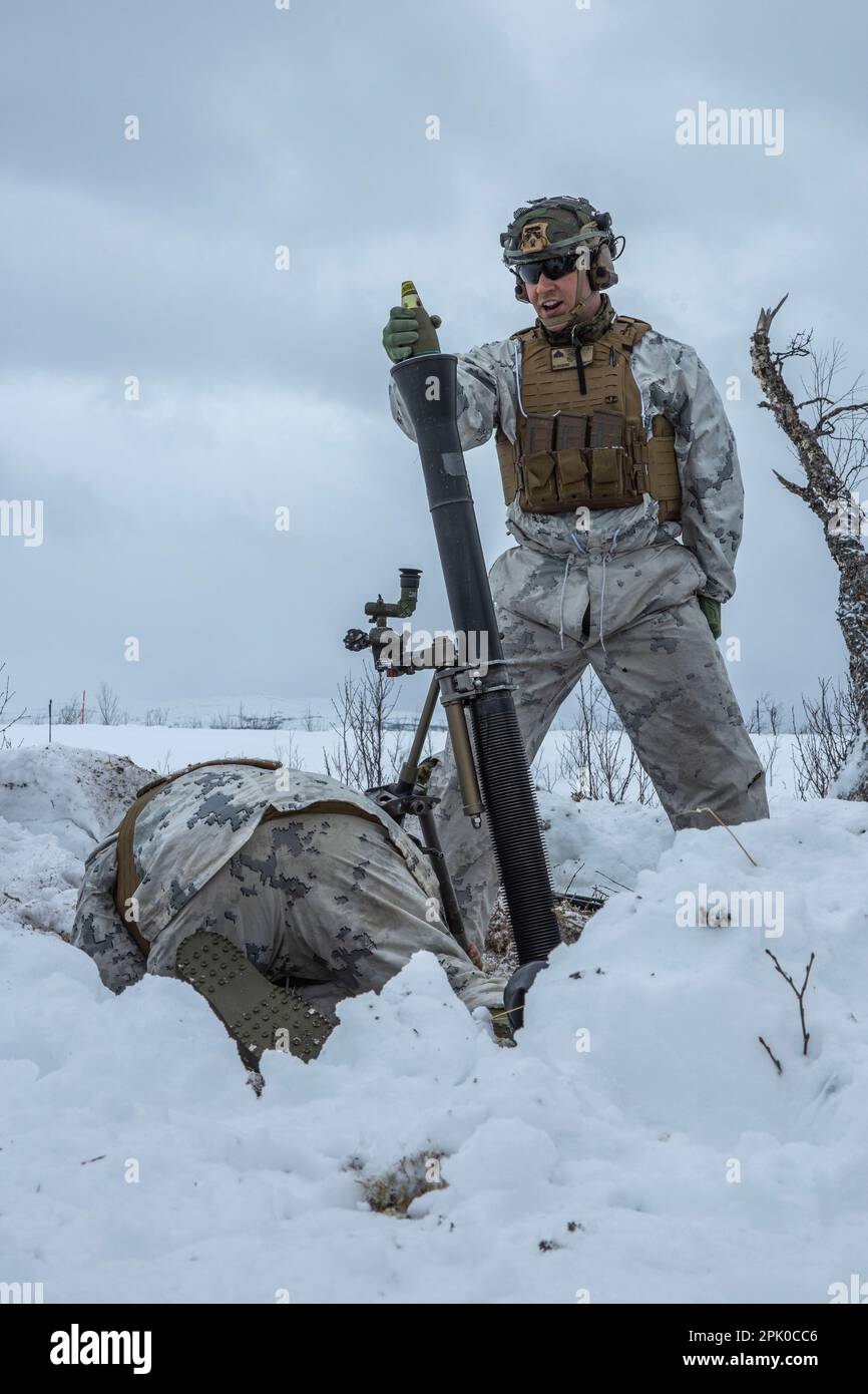 STATI UNITI Marines con 3rd battaglione, 2D Regimento Marino, 2D ...