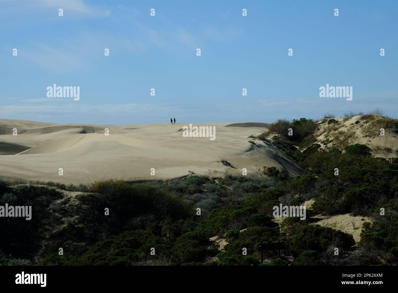 Dune di oceano immagini e fotografie stock ad alta risoluzione - Alamy