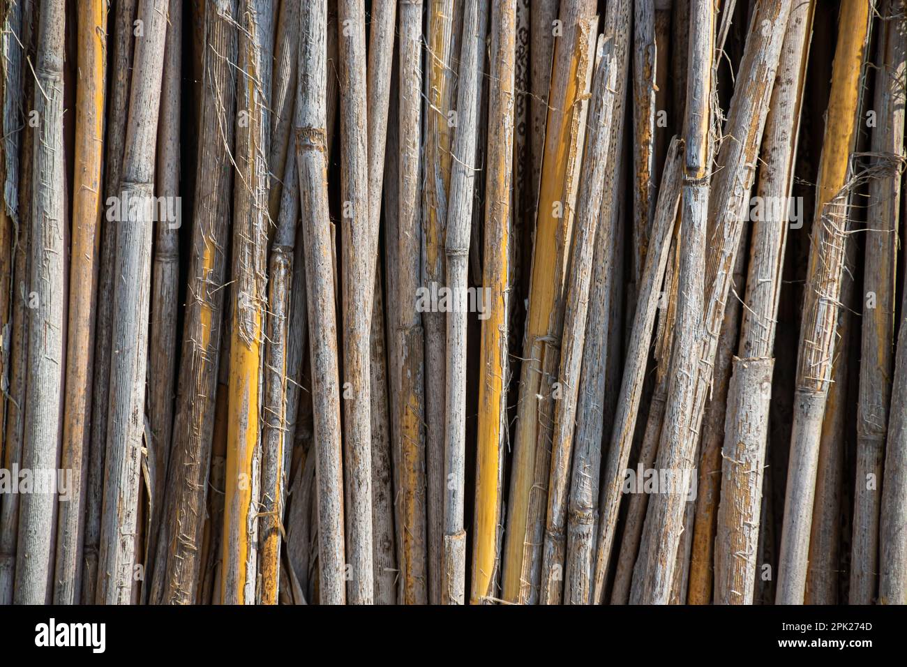 Reed texture immagini e fotografie stock ad alta risoluzione - Alamy