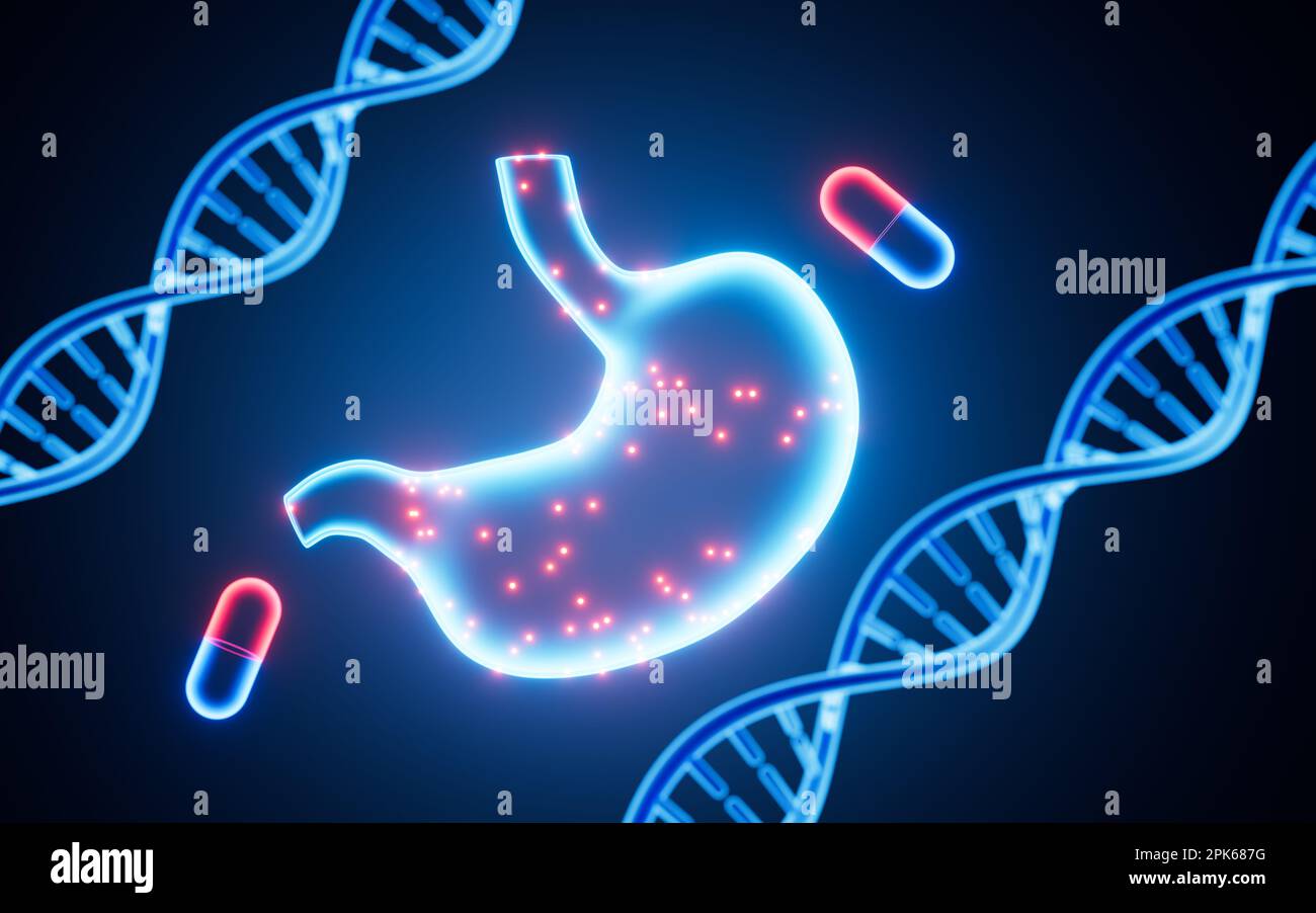 Trattamento dello stomaco umano, capsula medicinale per la malattia ...