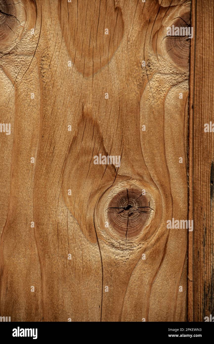 Walnut wood texture immagini e fotografie stock ad alta risoluzione - Alamy