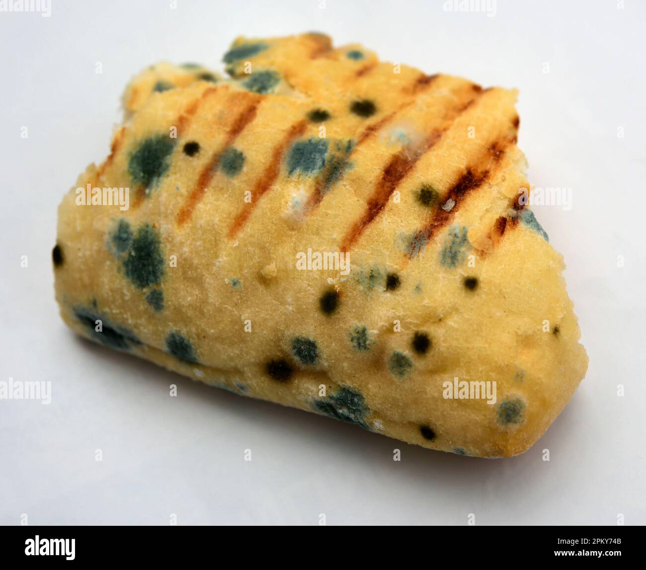 Muffa del pane immagini e fotografie stock ad alta risoluzione - Alamy