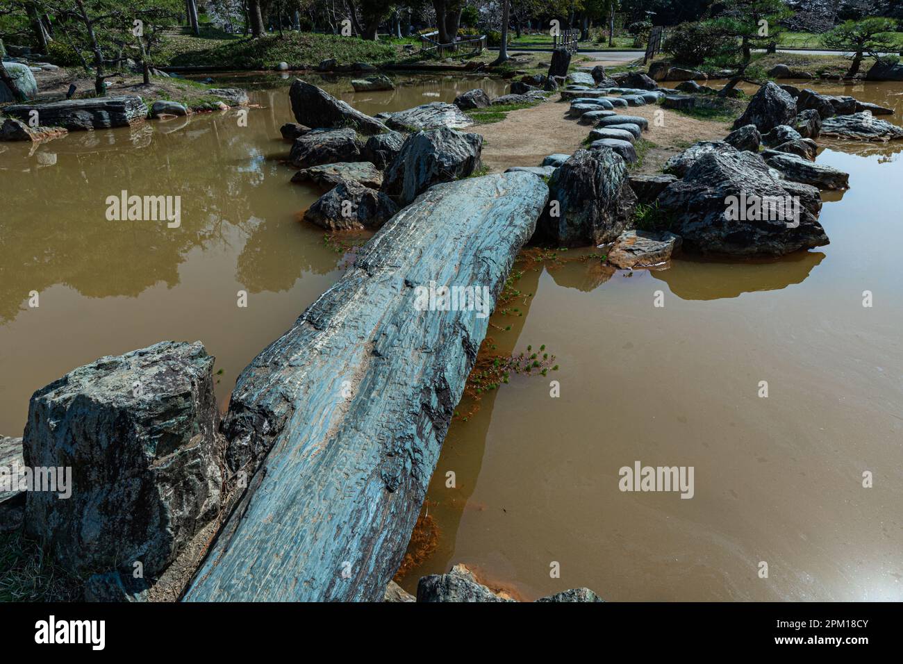 Giardino musashi immagini e fotografie stock ad alta risoluzione - Alamy