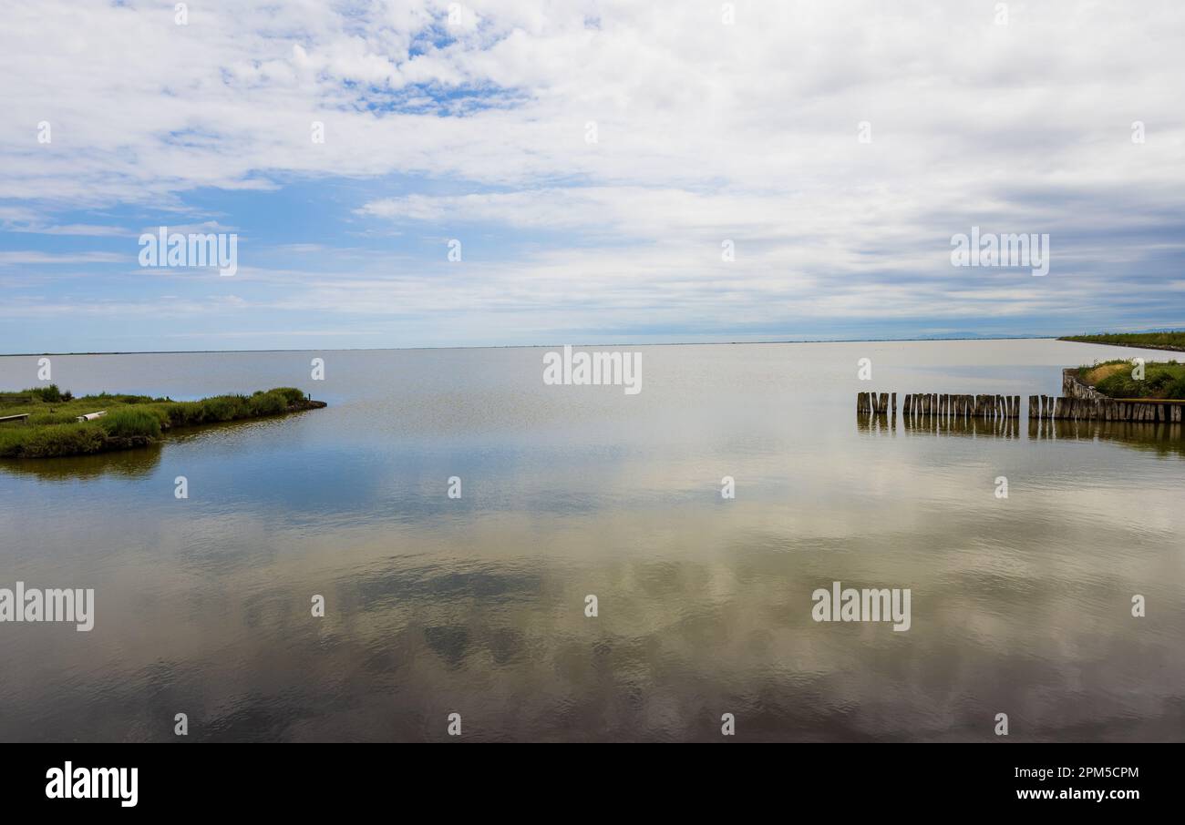 Uccello di palude delta del po immagini e fotografie stock ad alta ...