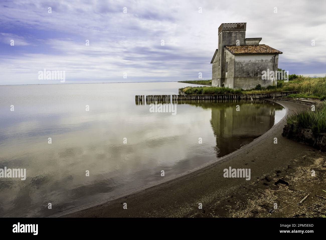 Uccello di palude delta del po immagini e fotografie stock ad alta ...