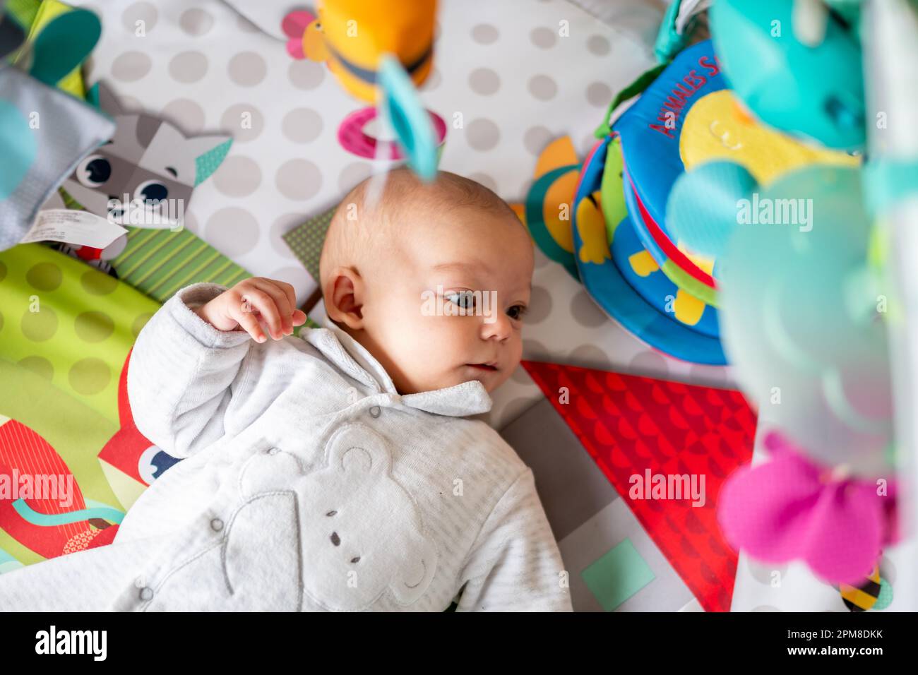 Stimolazione educativa immagini e fotografie stock ad alta risoluzione ...