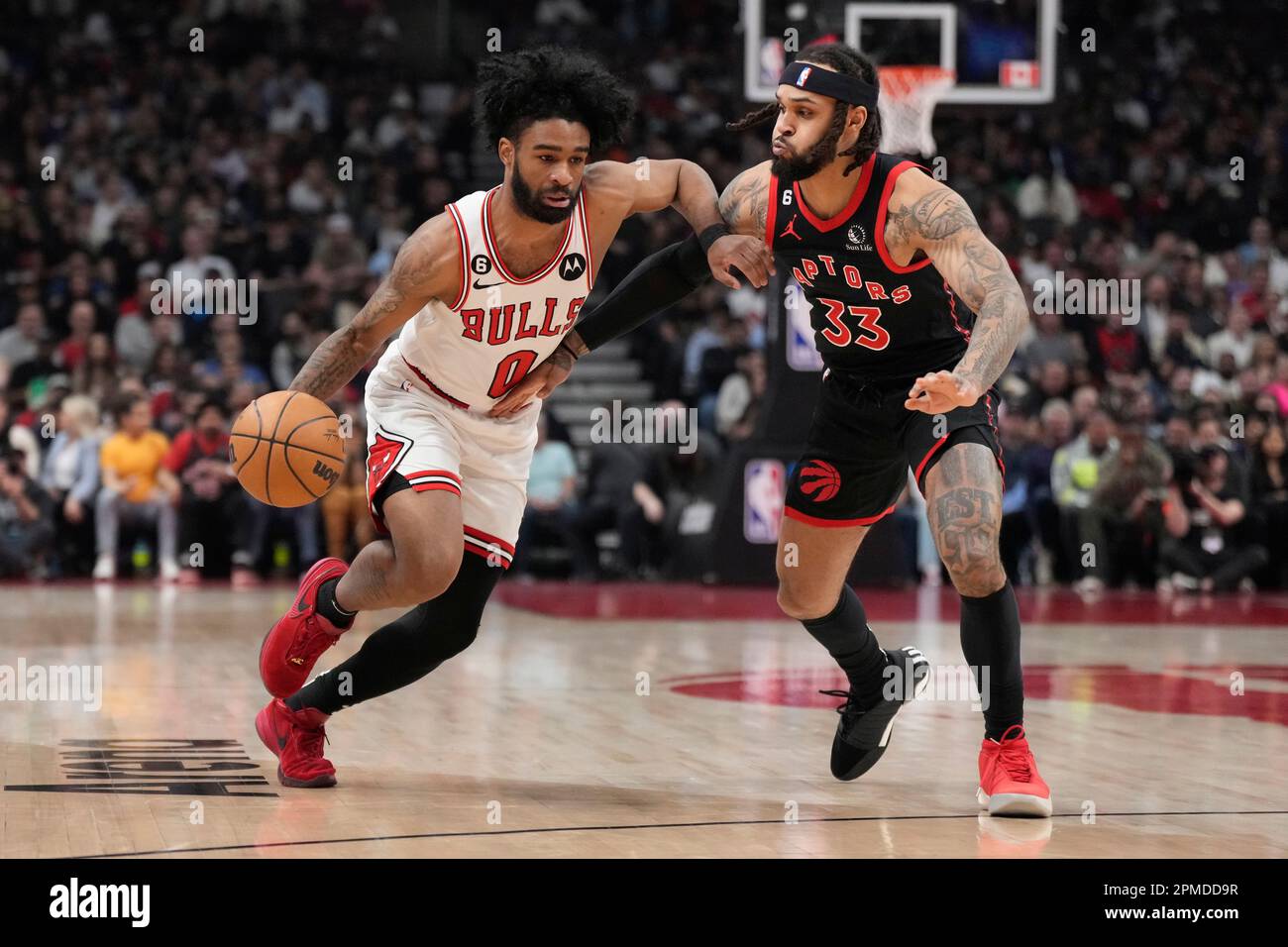 12 aprile 2023, Toronto, ON, Canada: La guardia dei Chicago Bulls Coby ...
