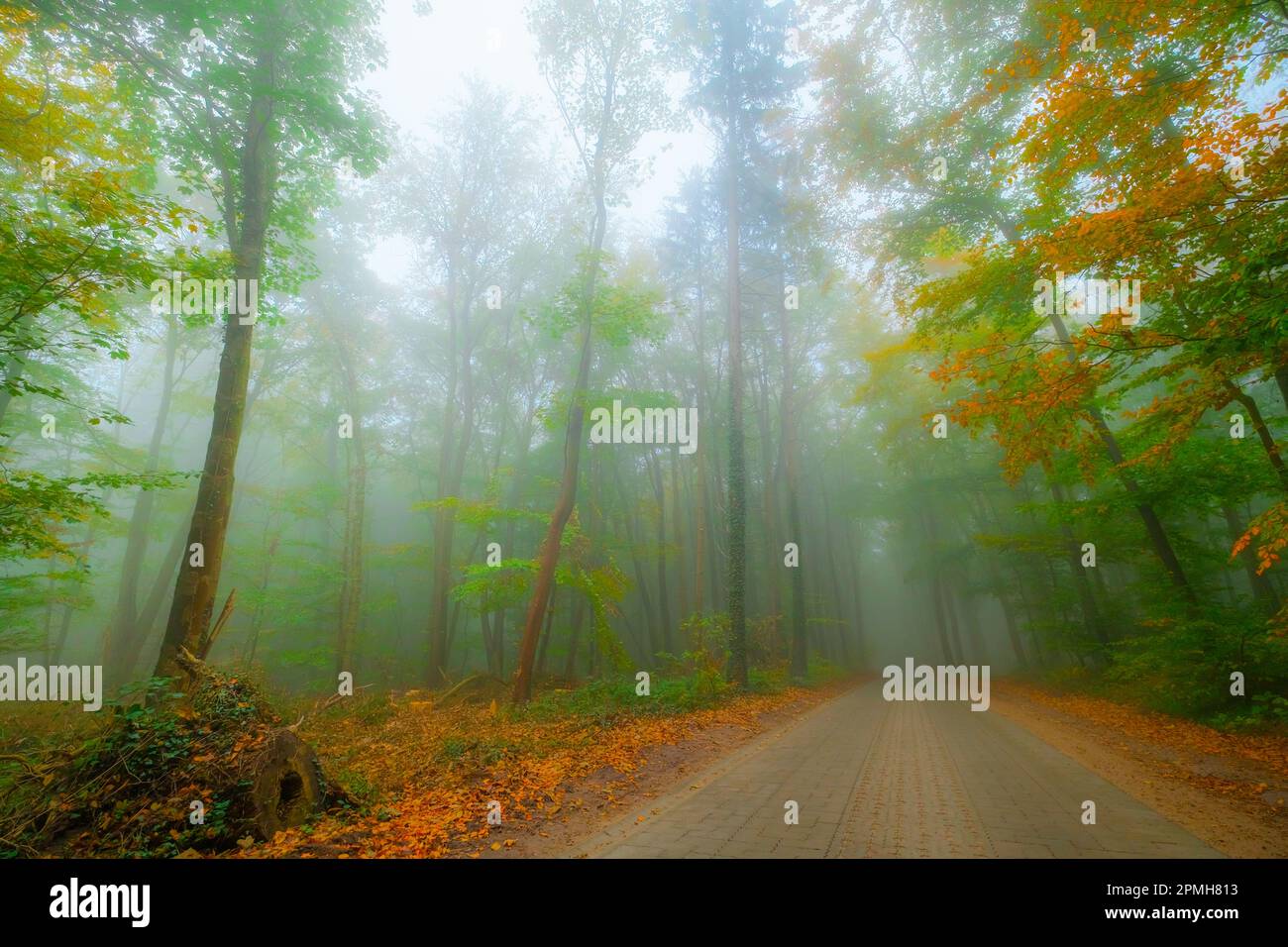 Weg strasse immagini e fotografie stock ad alta risoluzione - Alamy