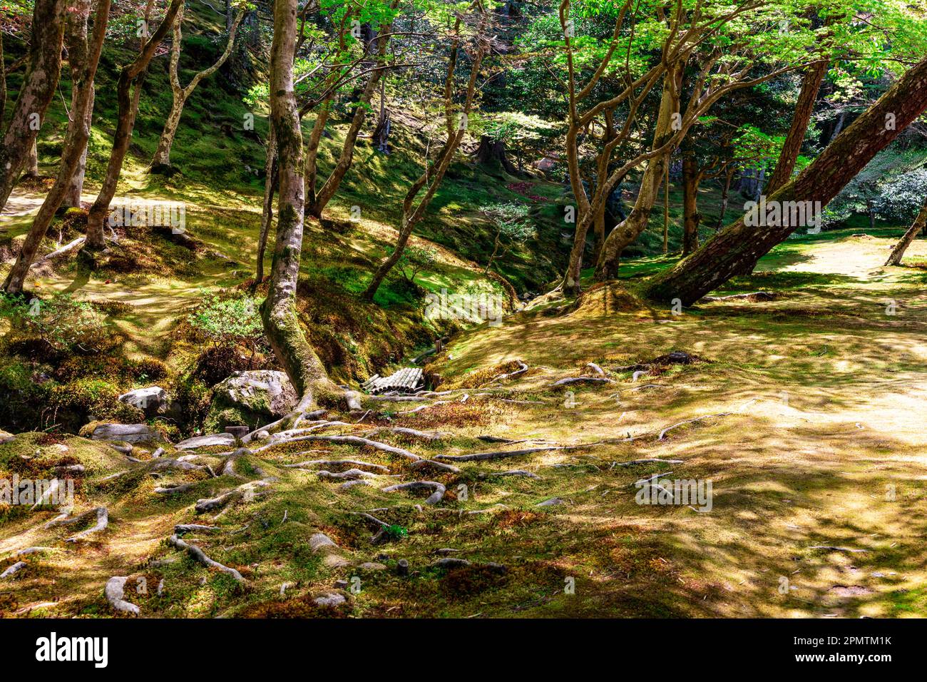 Il 2023 aprile, Kyoto Giappone, il quartiere dei templi di Ginkaku-Ji e ...