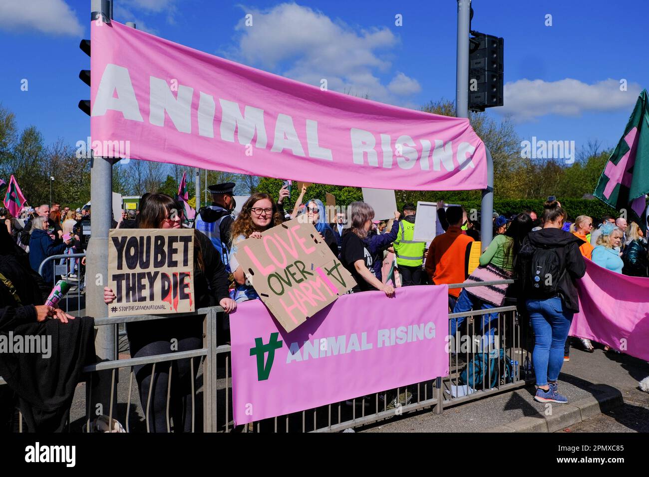 Attivisti per il clima e per i diritti degli animali immagini e ...