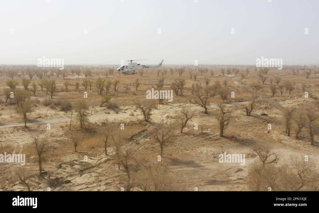 Biological control of pests immagini e fotografie stock ad alta ...