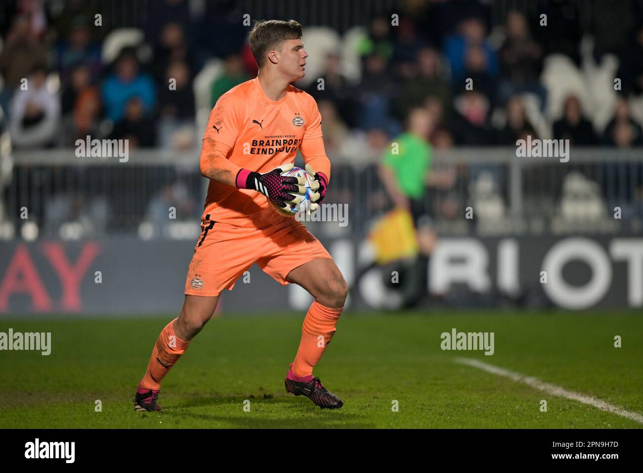 Roy steur immagini e fotografie stock ad alta risoluzione - Alamy